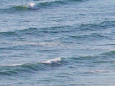 14 Best Scenic Train Rides in the USA for Spectacular Views