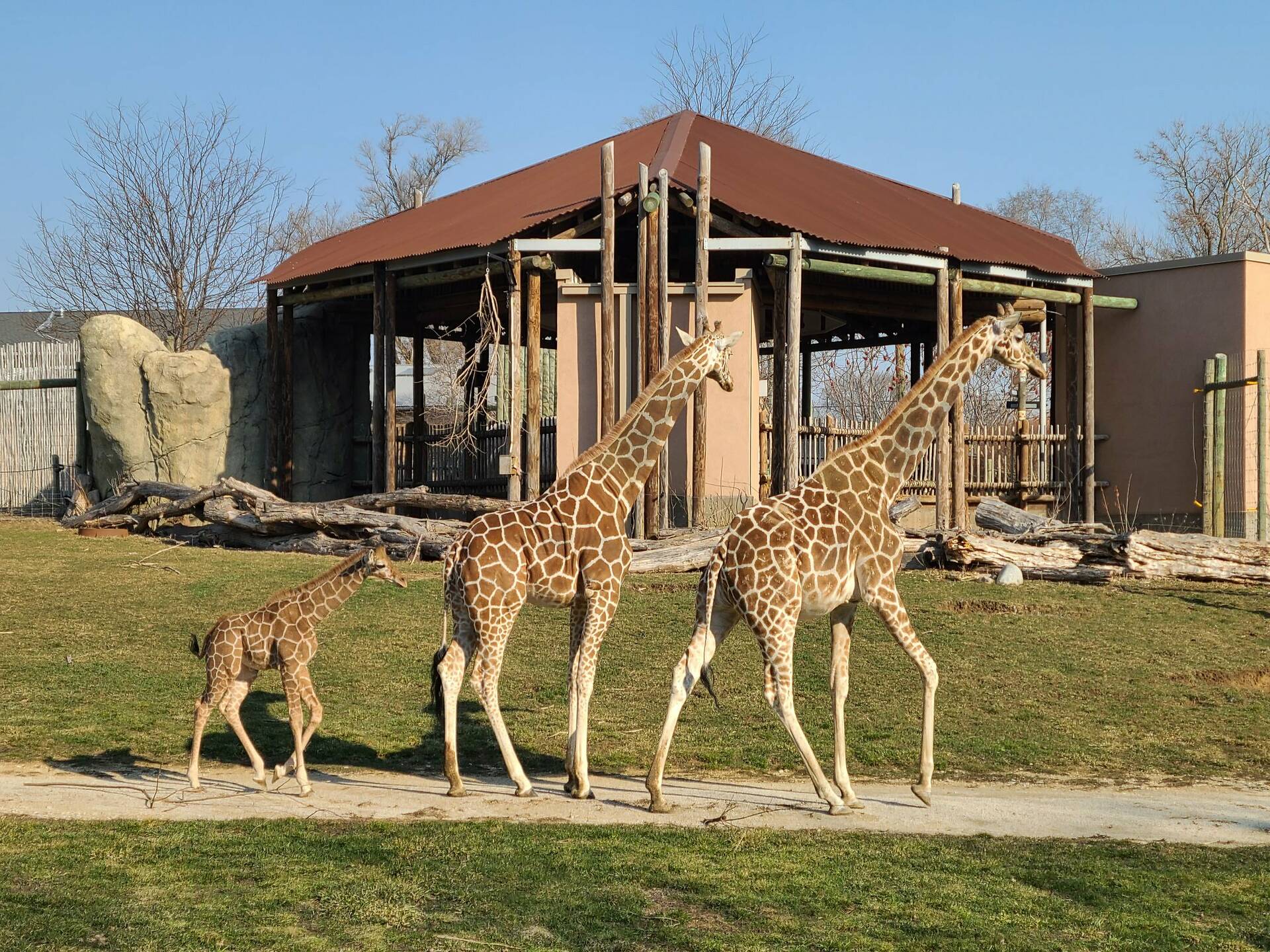 30 Best Zoos in the US For Every Kind of Wildlife Sighting