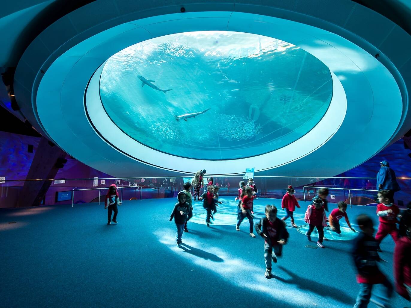 32 Things to Do in Miami With Kids for Family Fun All Year Round