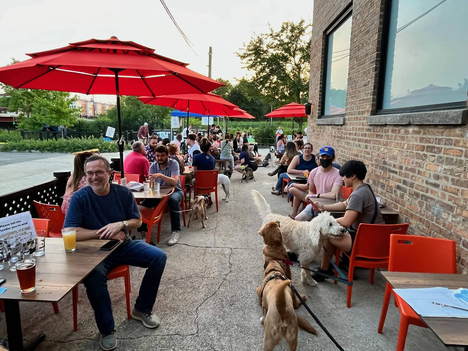 49 Best Dog-Friendly Restaurants, Bars & Patios in Chicago