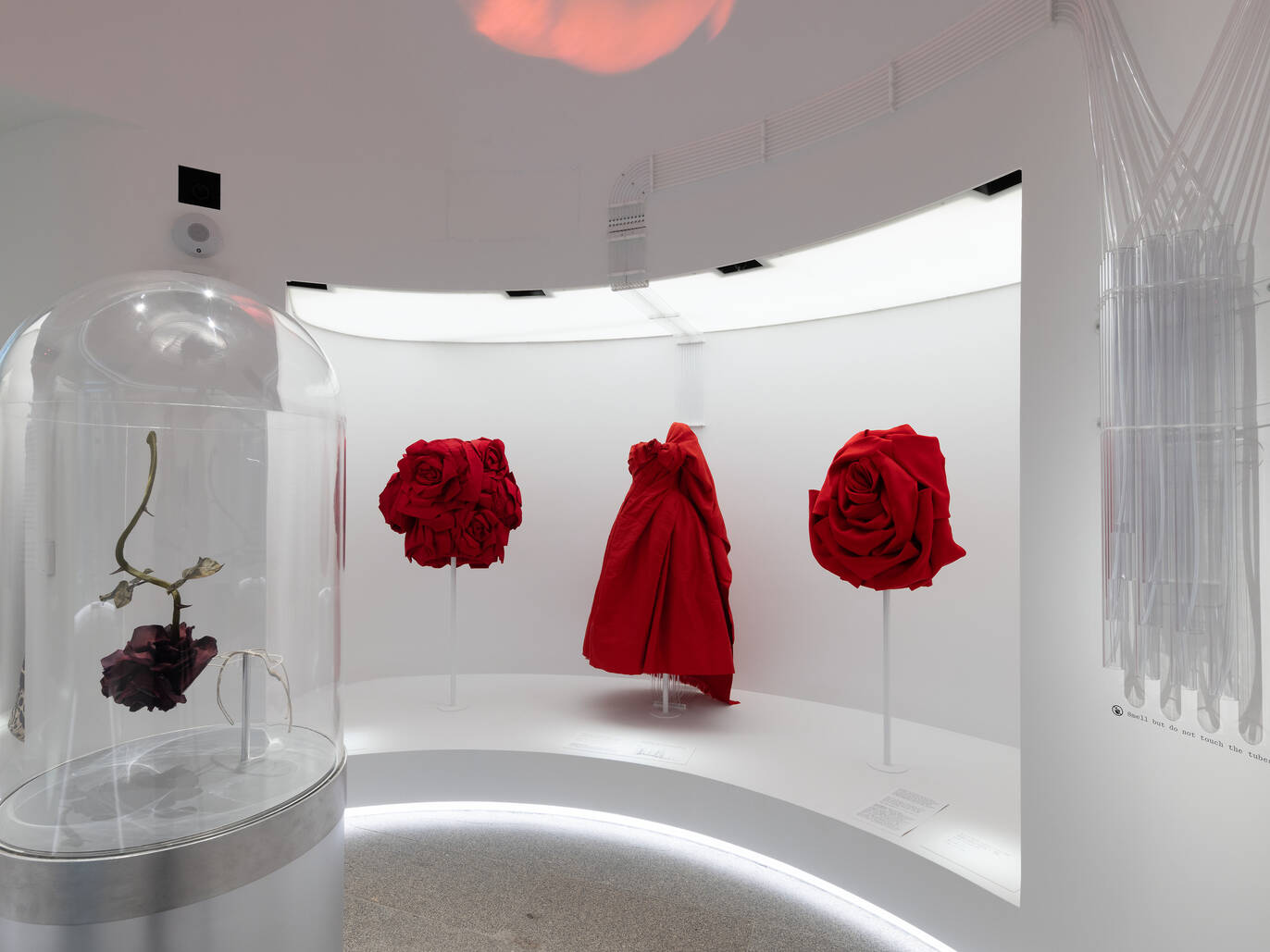 Best Museum Exhibits in NYC to Explore in 2024