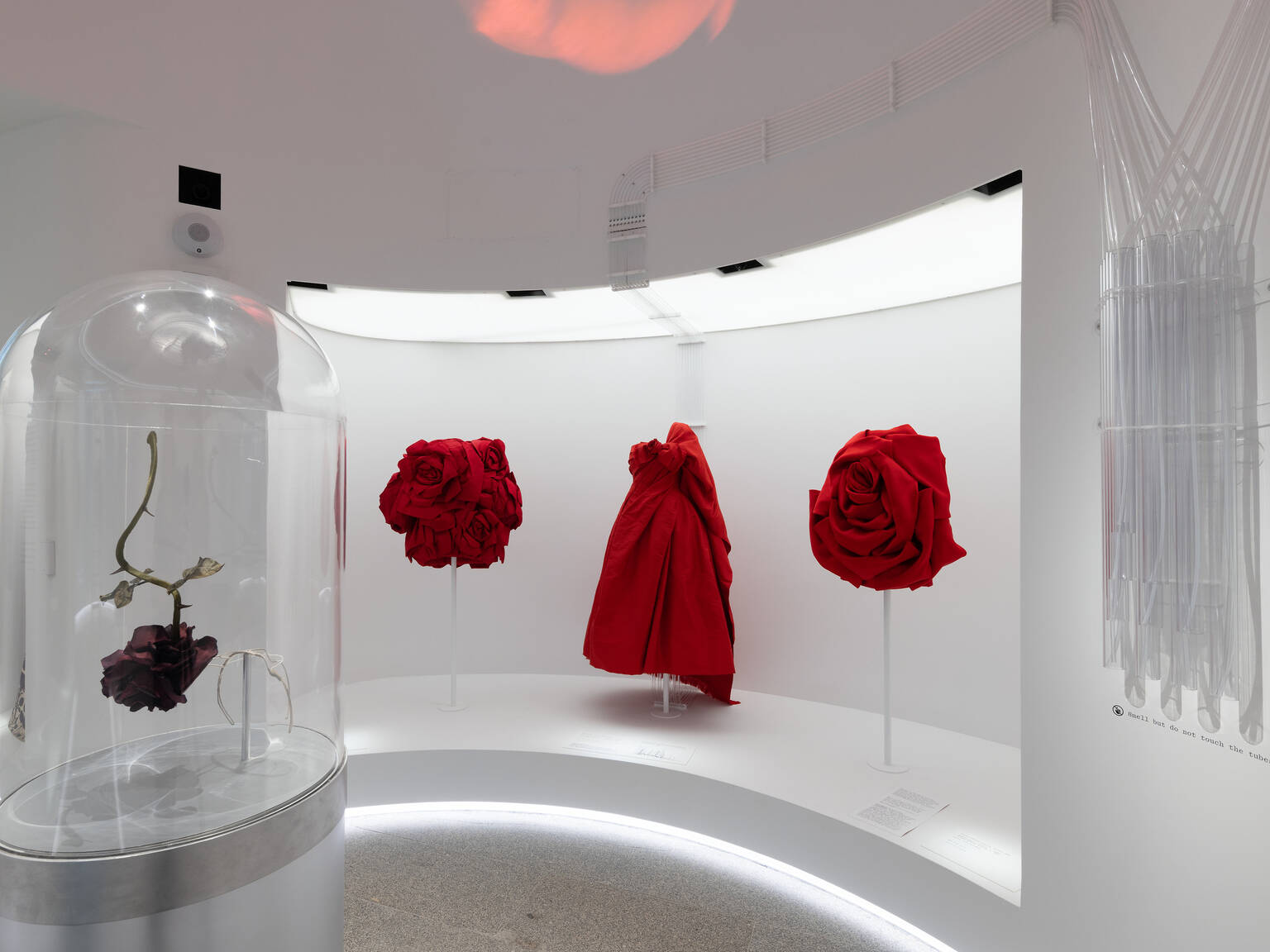 Best Museum Exhibits in NYC to Explore in 2024