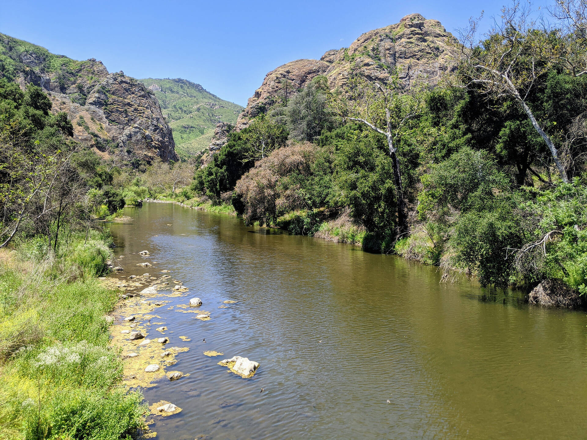 14 Best Things to Do in Malibu Both by the Beach and in the Canyons