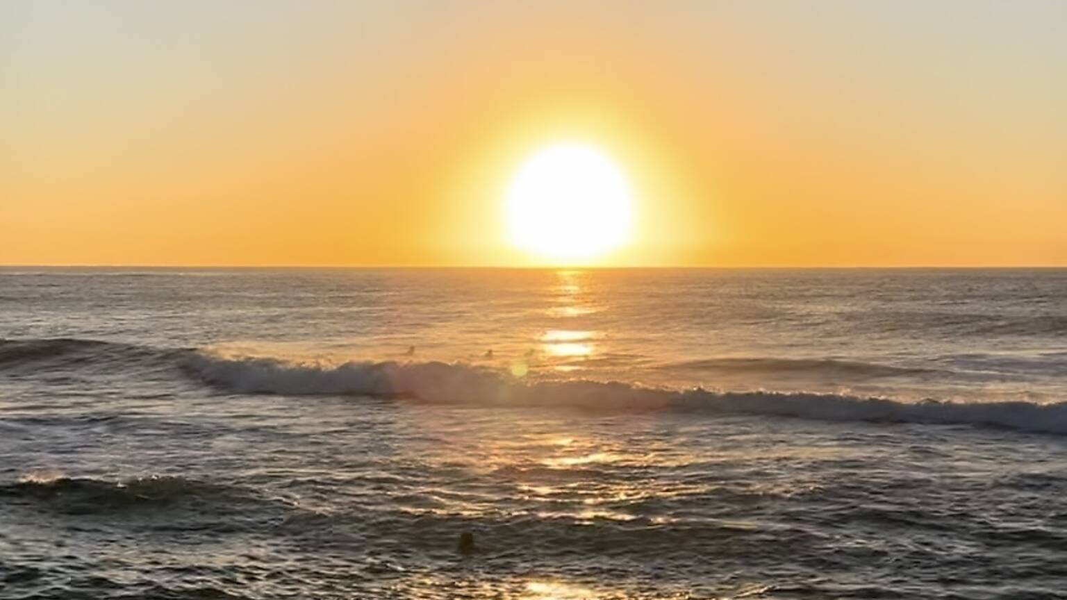 The best running clubs in Sydney for a social run