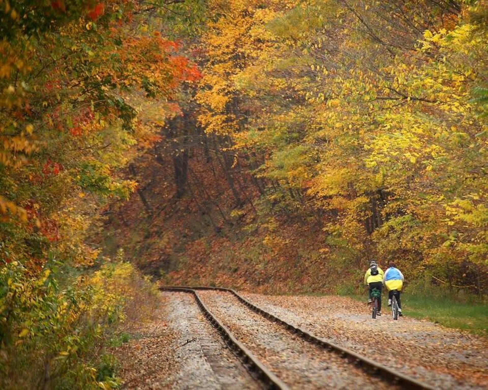 18 Best Bike Trails in the U.S. Worthy of a Trip