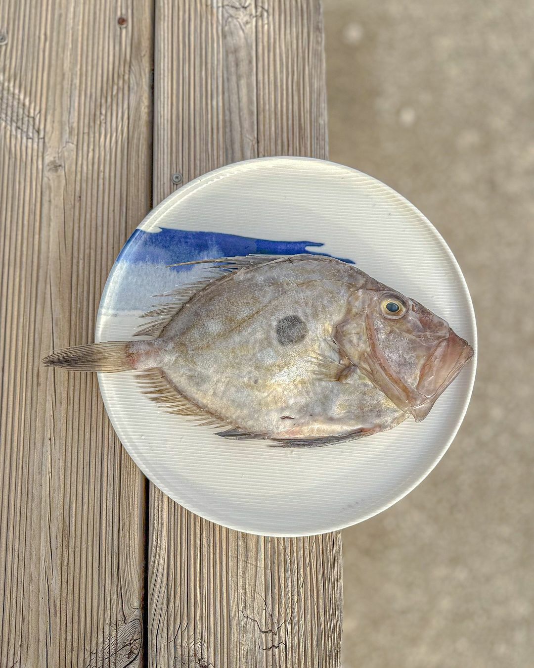Le Restaurant du Cam | Restaurants à Marseille