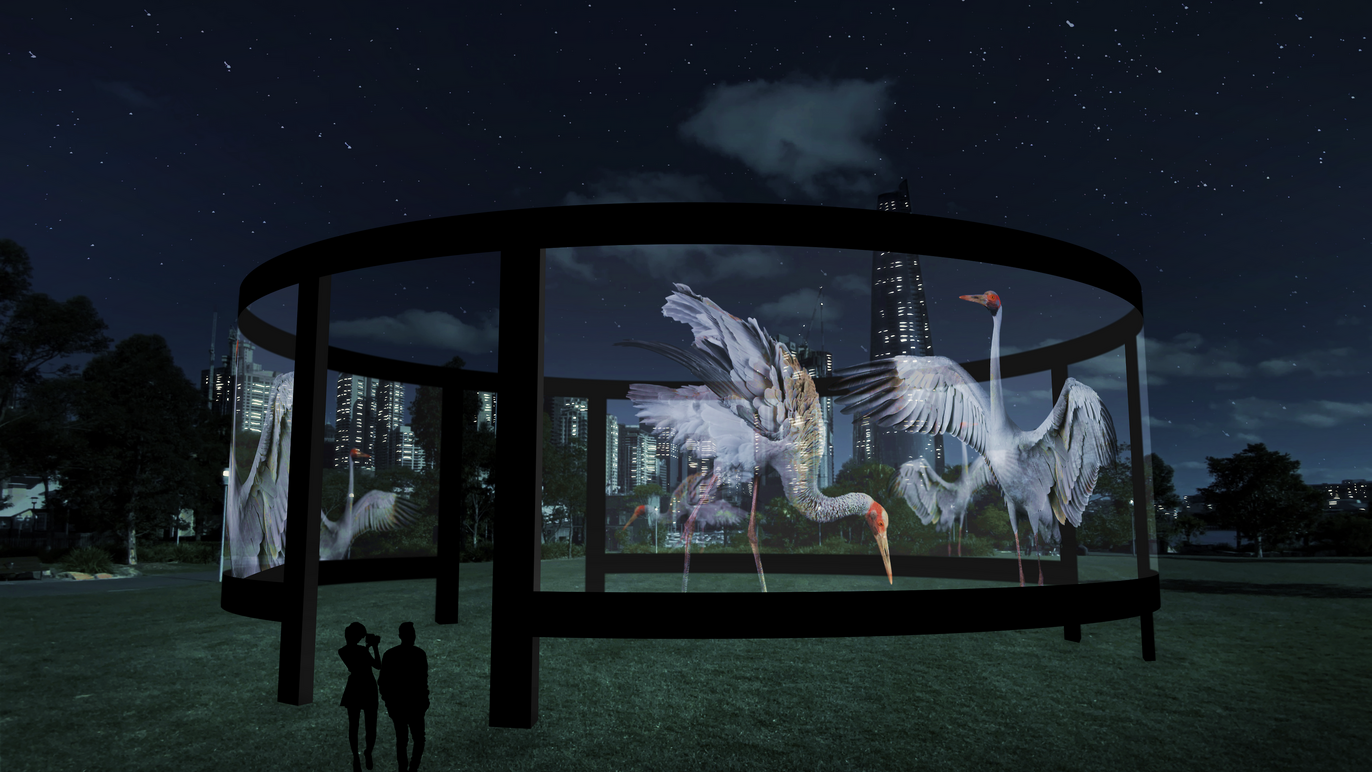 Vivid Light Walk | Things to do in Sydney