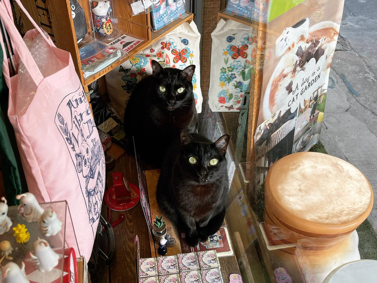 13 Hidden Shops You Should Visit in Hong Kong