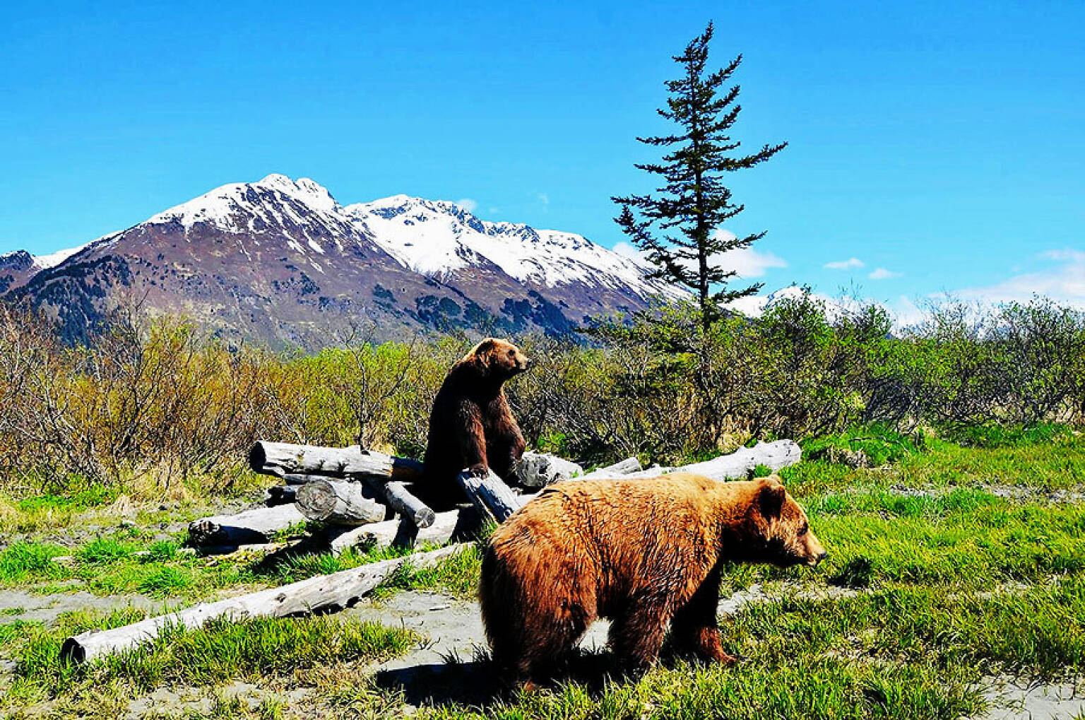 10 Best Small Towns in the USA for a Charming Getaway