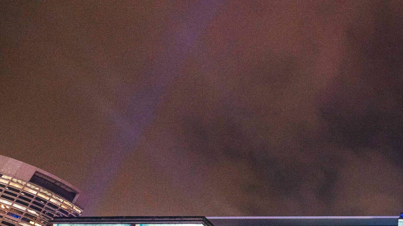 Vivid Light Walk | Things to do in Sydney