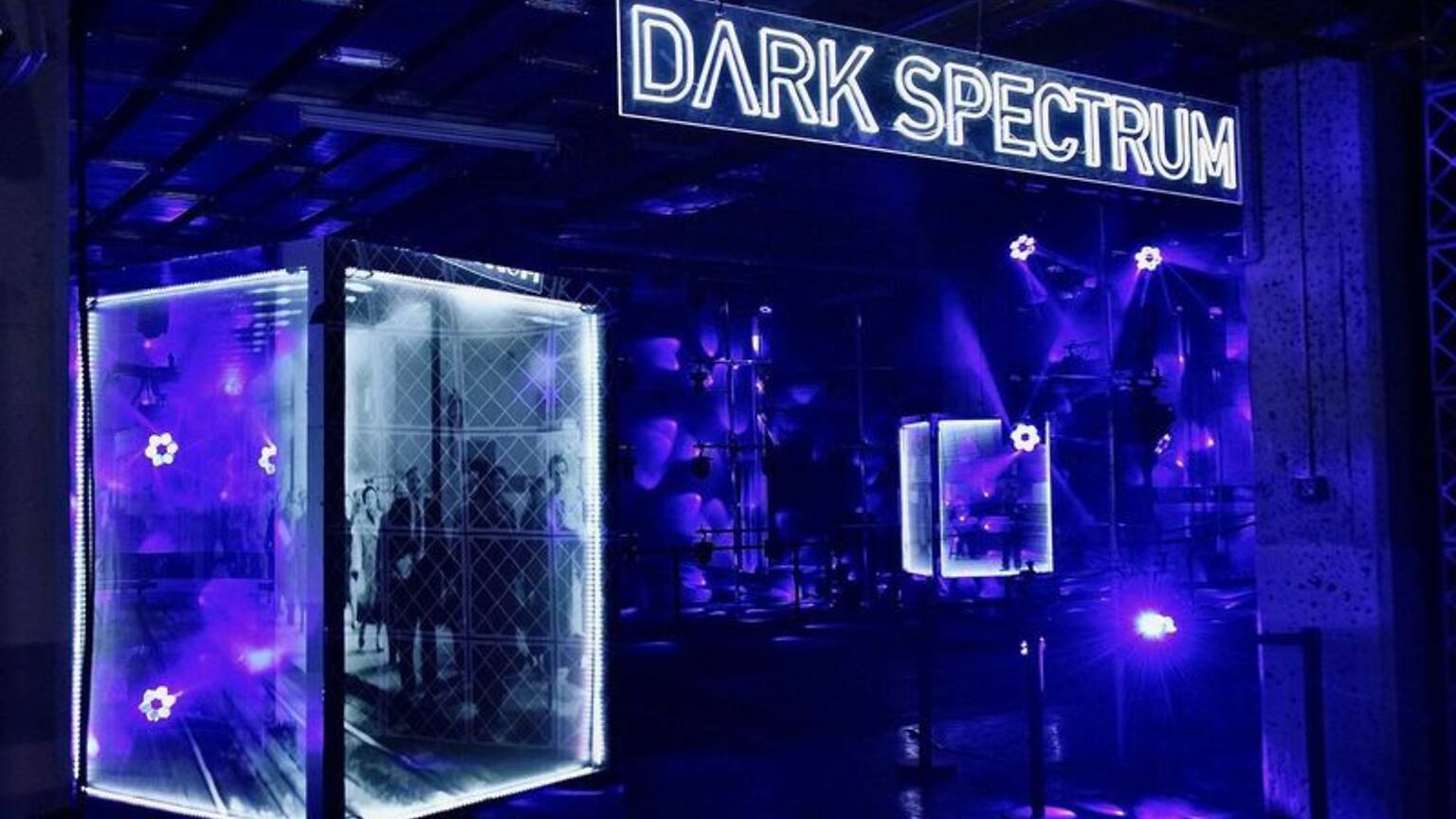 Dark Spectrum has taken over Wynyard's disused train tunnels