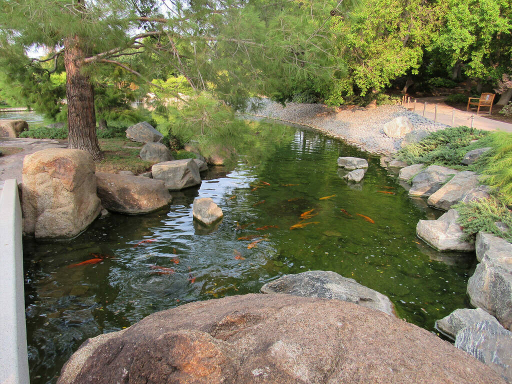 20 Best Things To Do in Phoenix: Cool, Unique Activities Picked By Locals