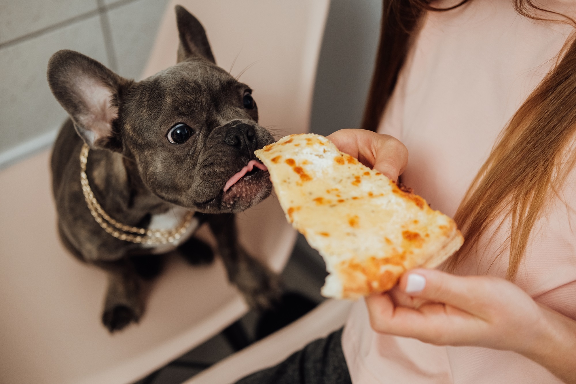 Williamsburg Pizza LES is hosting a pizza party for your pup
