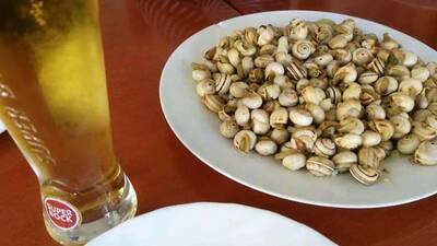 10 sítios para comer caracóis em Lisboa