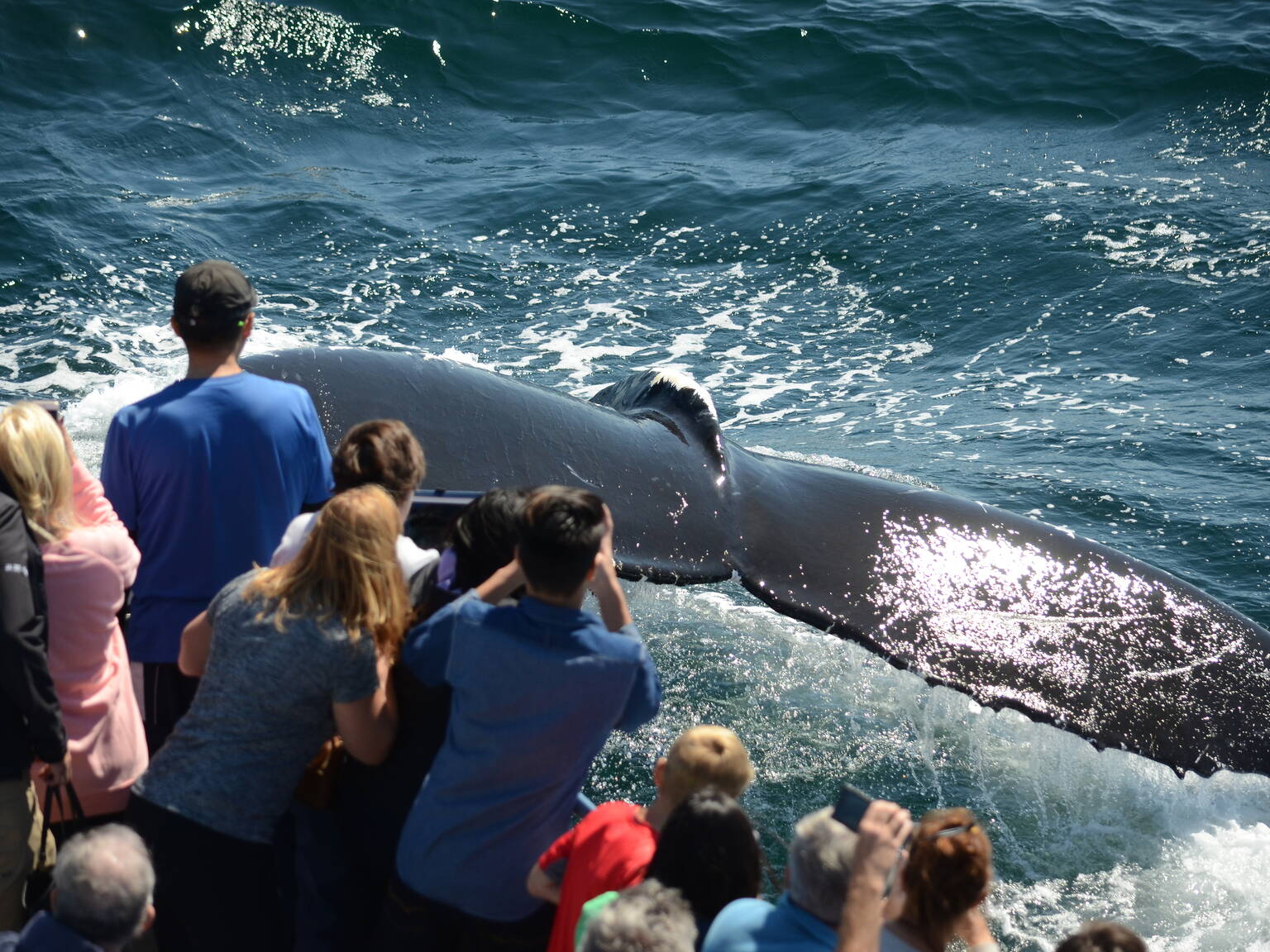 The Best Things to Do in Boston with Kids: Fun for the Whole Family