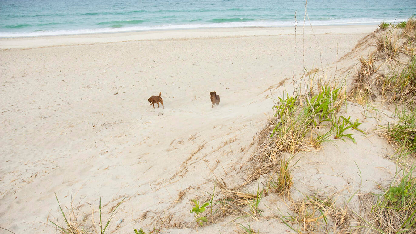 13 Best Beaches Near Boston To Check Out For Surf, Sand & Sun