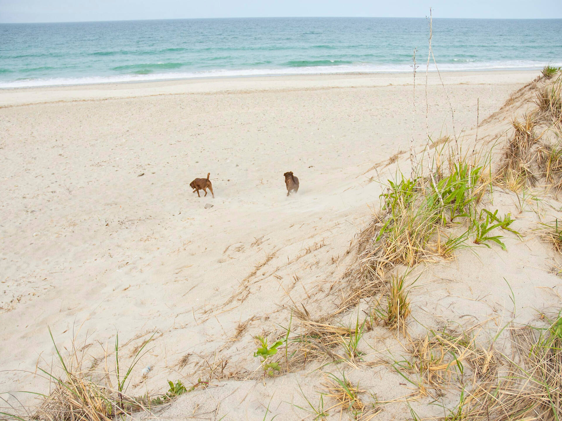 13 Best Beaches Near Boston To Check Out For Surf, Sand & Sun