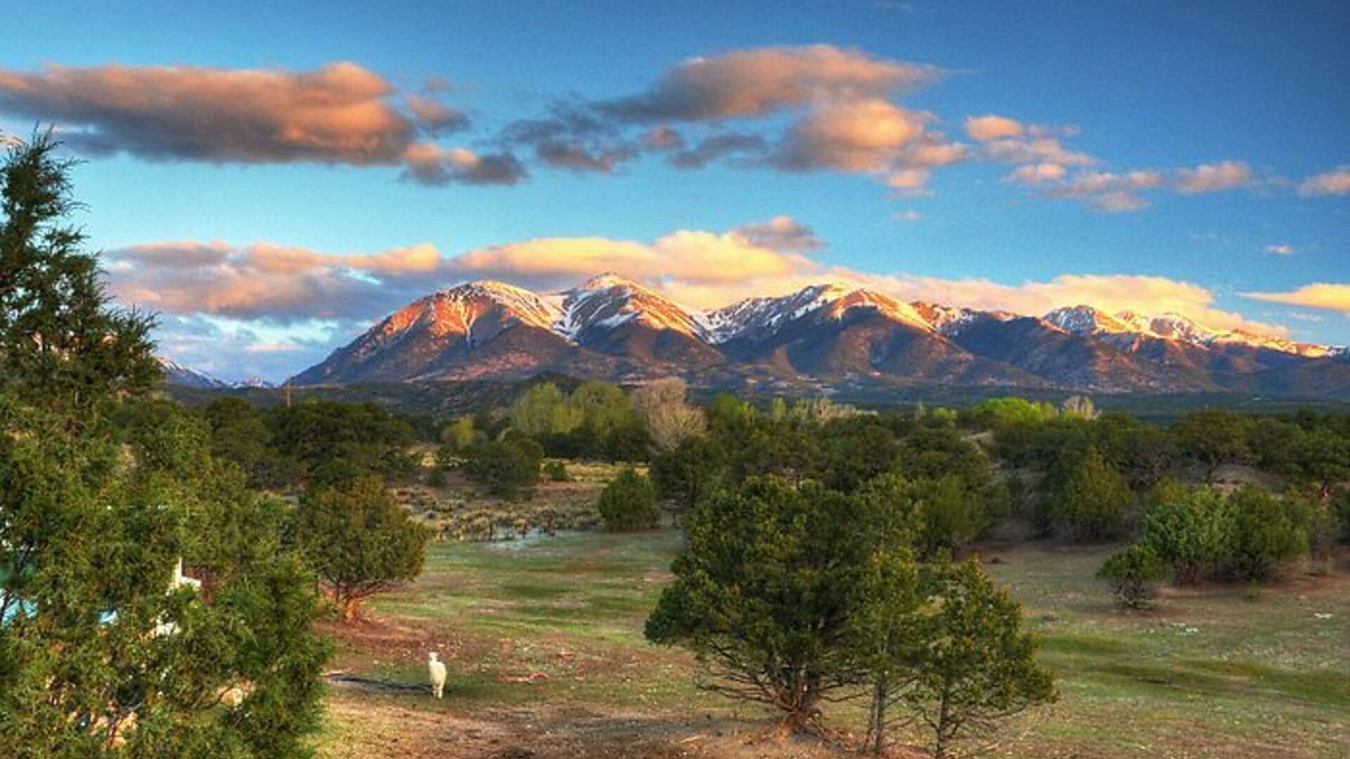 17 Best Farm Stays in the United States | Farm Vacations