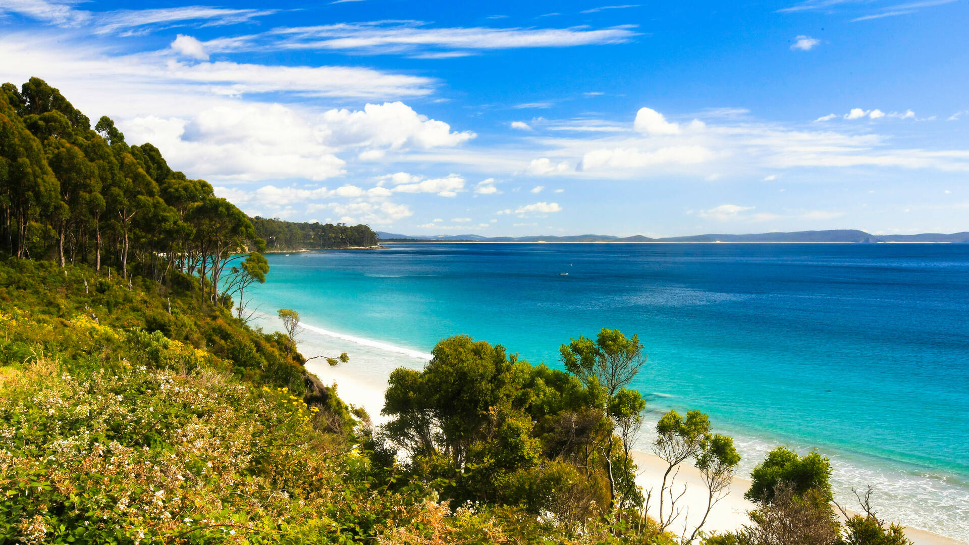 The 20 best beaches in Australia for swimming, surfing and sunbathing