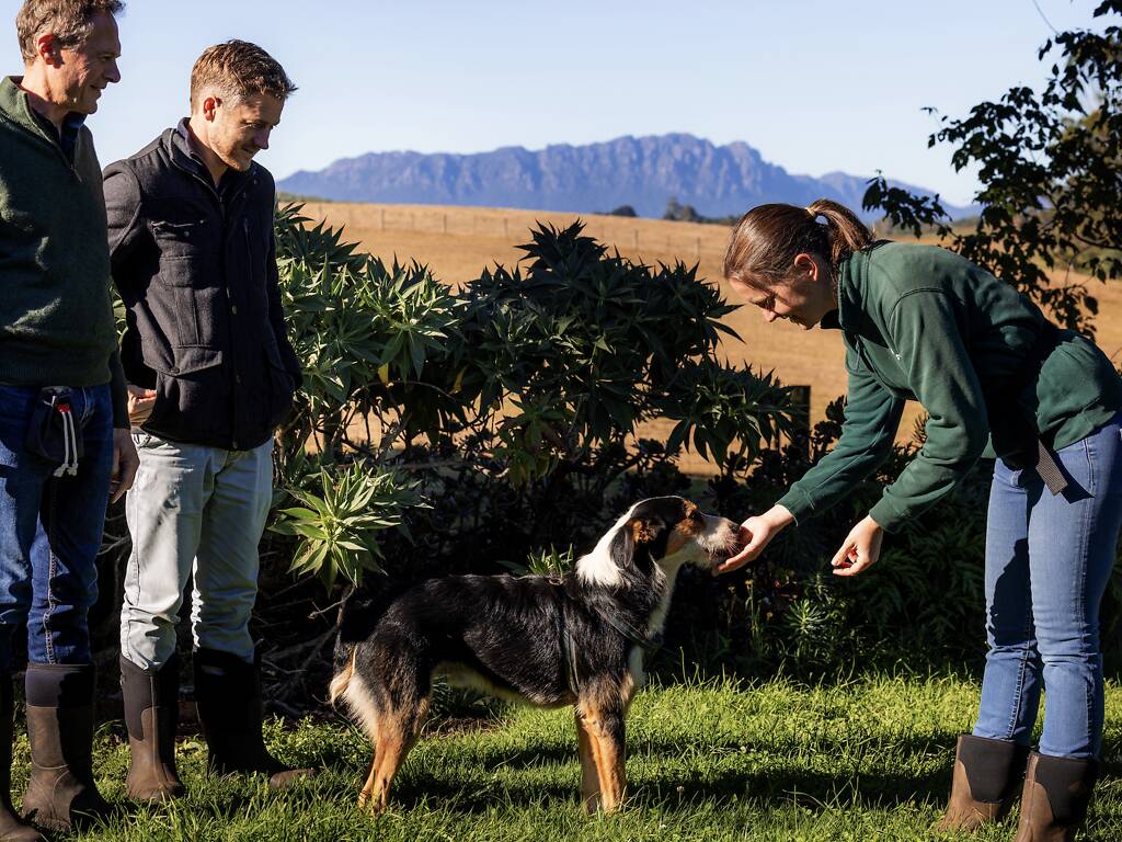 The 8 best festivals in Hobart and Tasmania