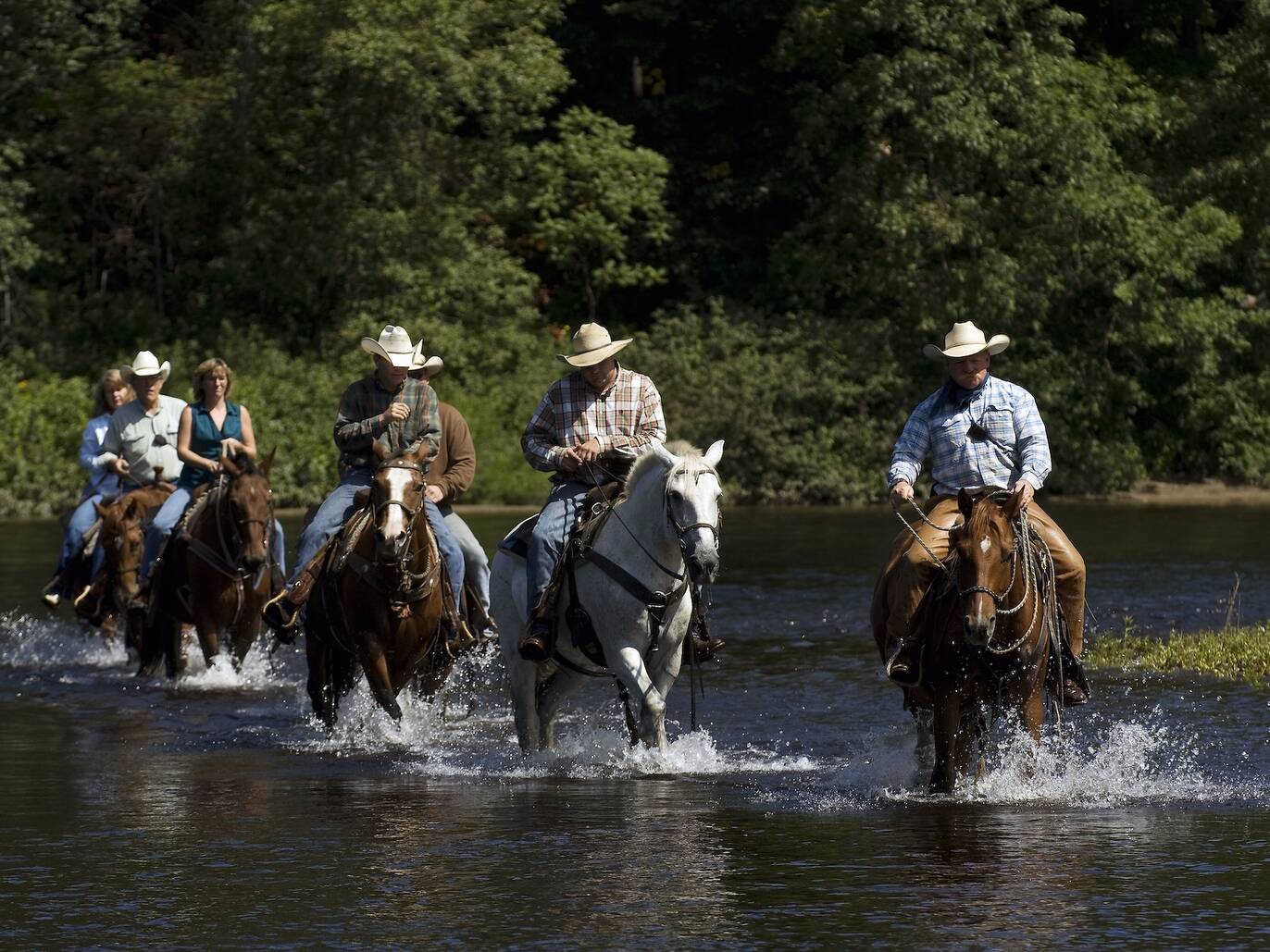 11 Best Dude Ranch/Luxury Ranch Resorts in the U.S.