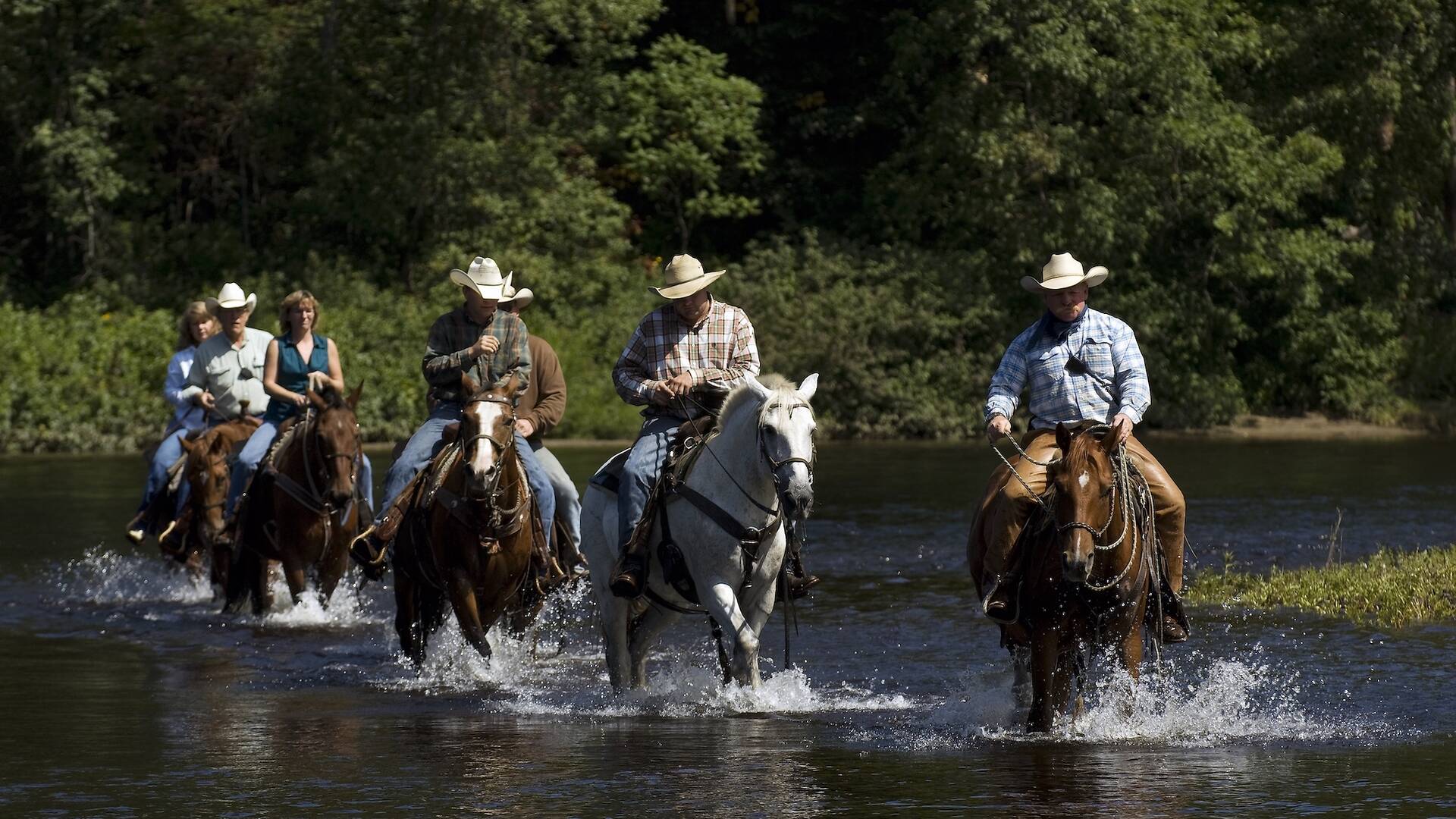 11 Best Dude Ranch/Luxury Ranch Resorts in the U.S.