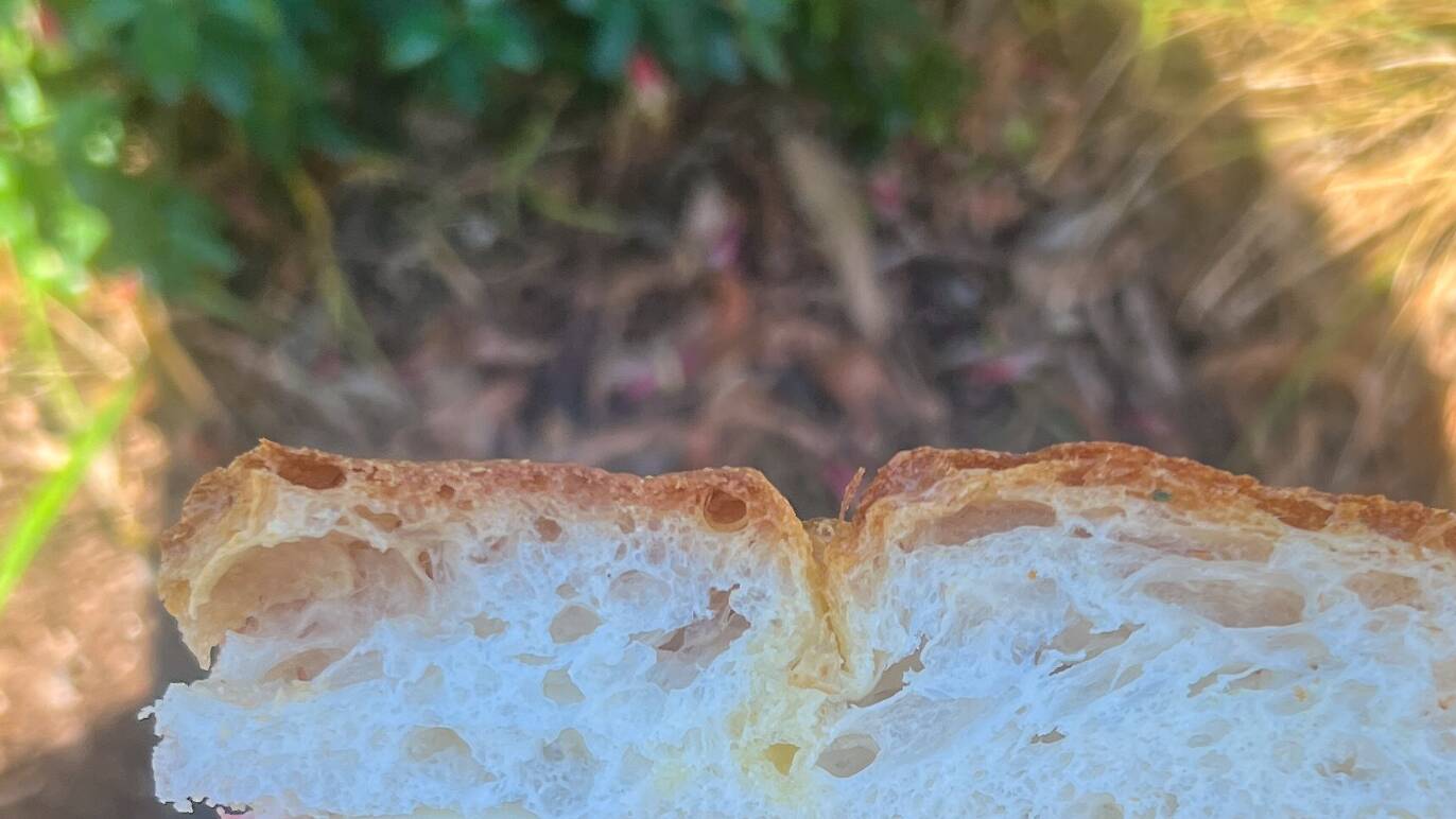 Read our review of Piccolo Panini Bar, Hawthorn | Time Out Melbourne