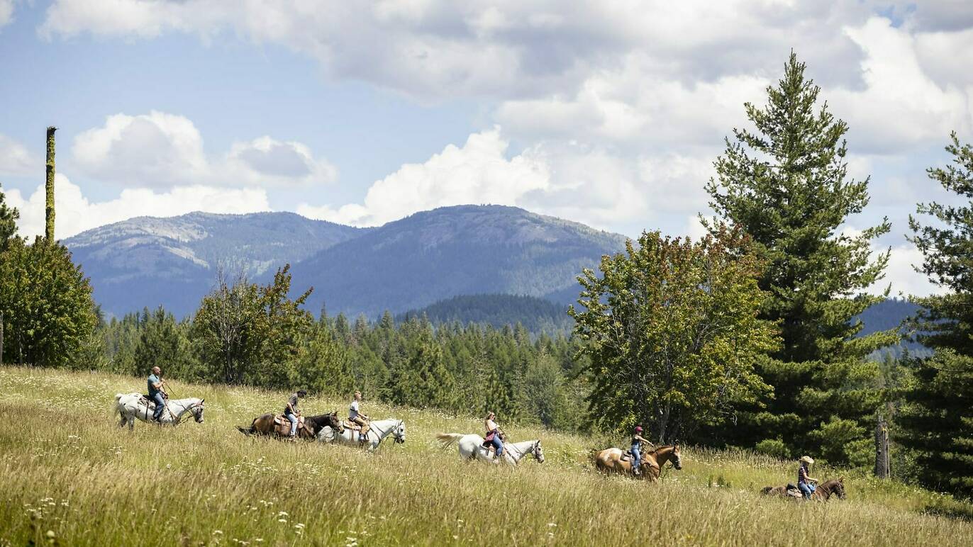 11 Best Dude Ranch/Luxury Ranch Resorts in the U.S.