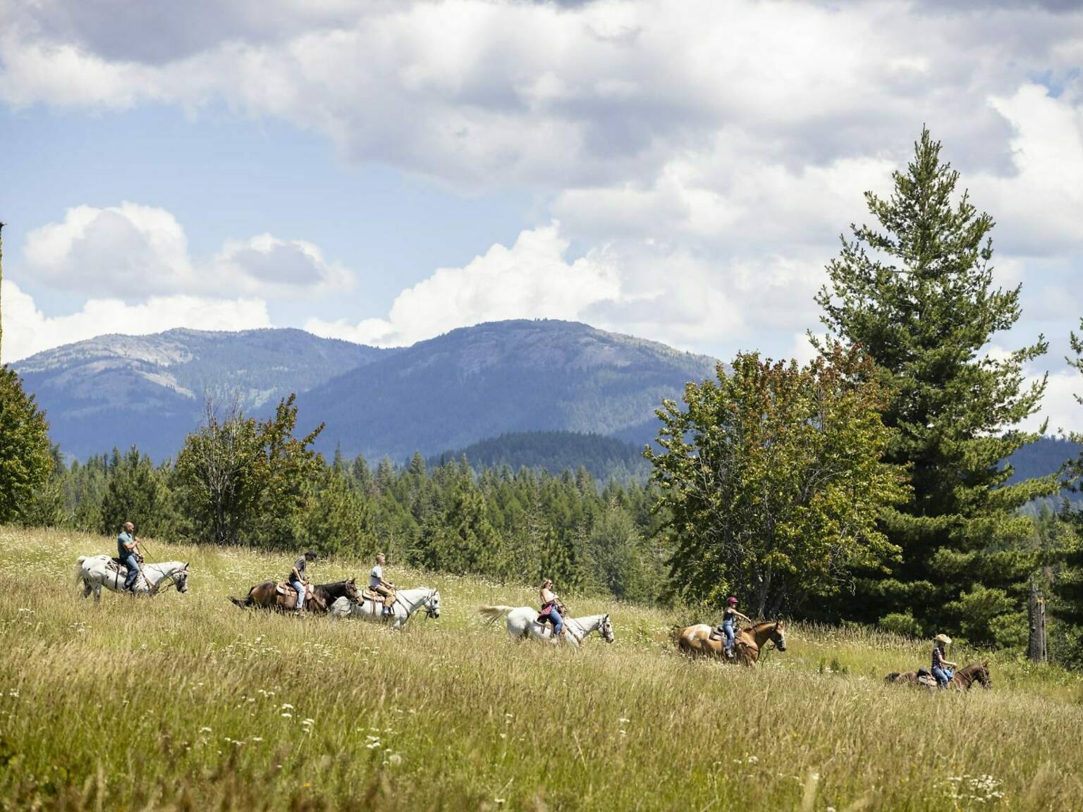 11 Best Dude Ranch/Luxury Ranch Resorts in the U.S.