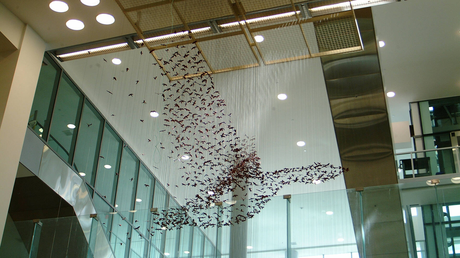 10 Best Airport Art Installations in the USA