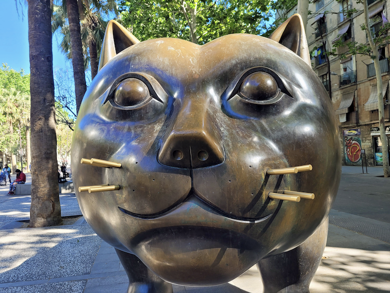 Els 6 gats més icònics de Barcelona