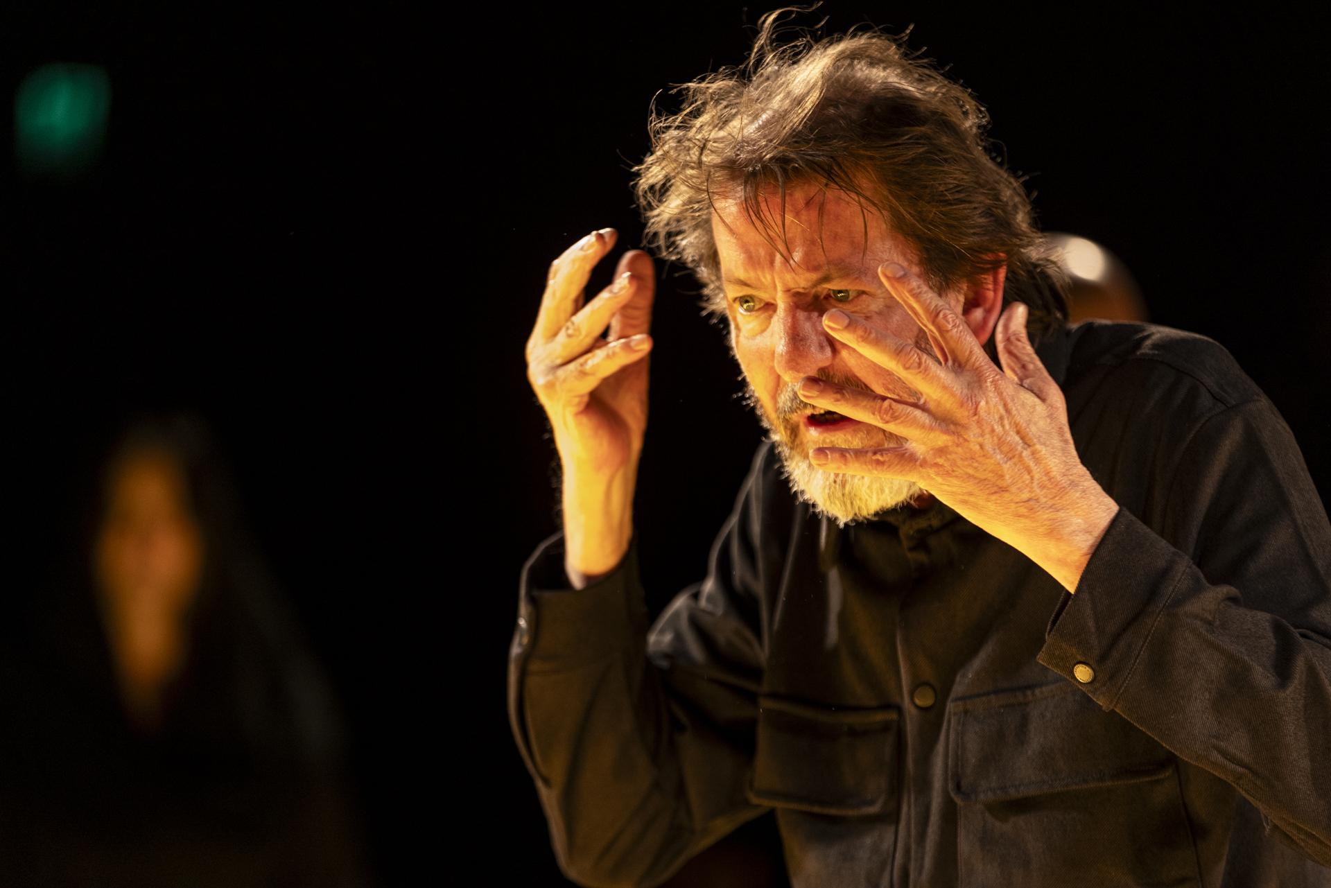 Review: Bell Shakespeare's King Lear is arresting | 2024