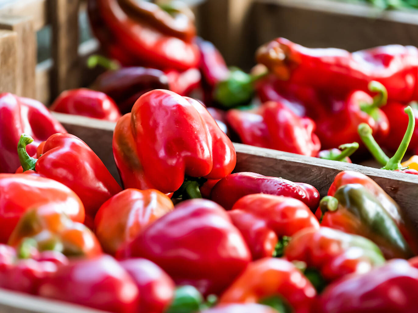 12 Best Farmer's Markets in Philadelphia for Fresh Produce