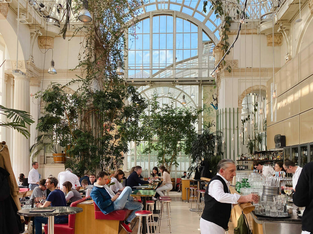 Best Restaurants in Vienna, for Traditional Cuisine and More (Updated 2025)