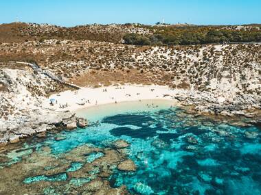 The 12 Best Things to Do on Rottnest Island [2026]