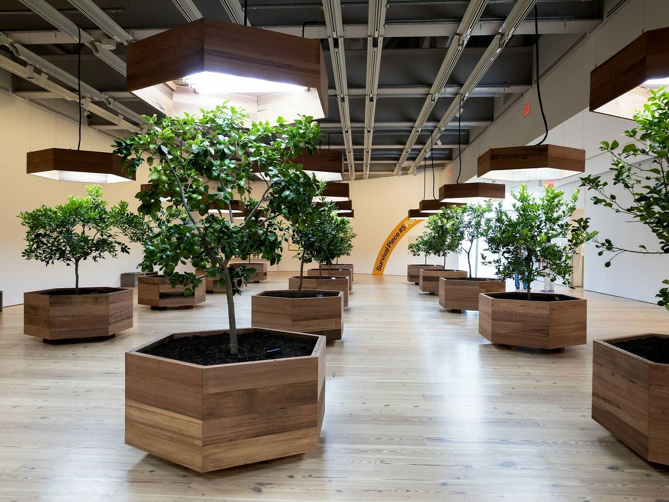 Best Museum Exhibits in NYC to Explore in 2024