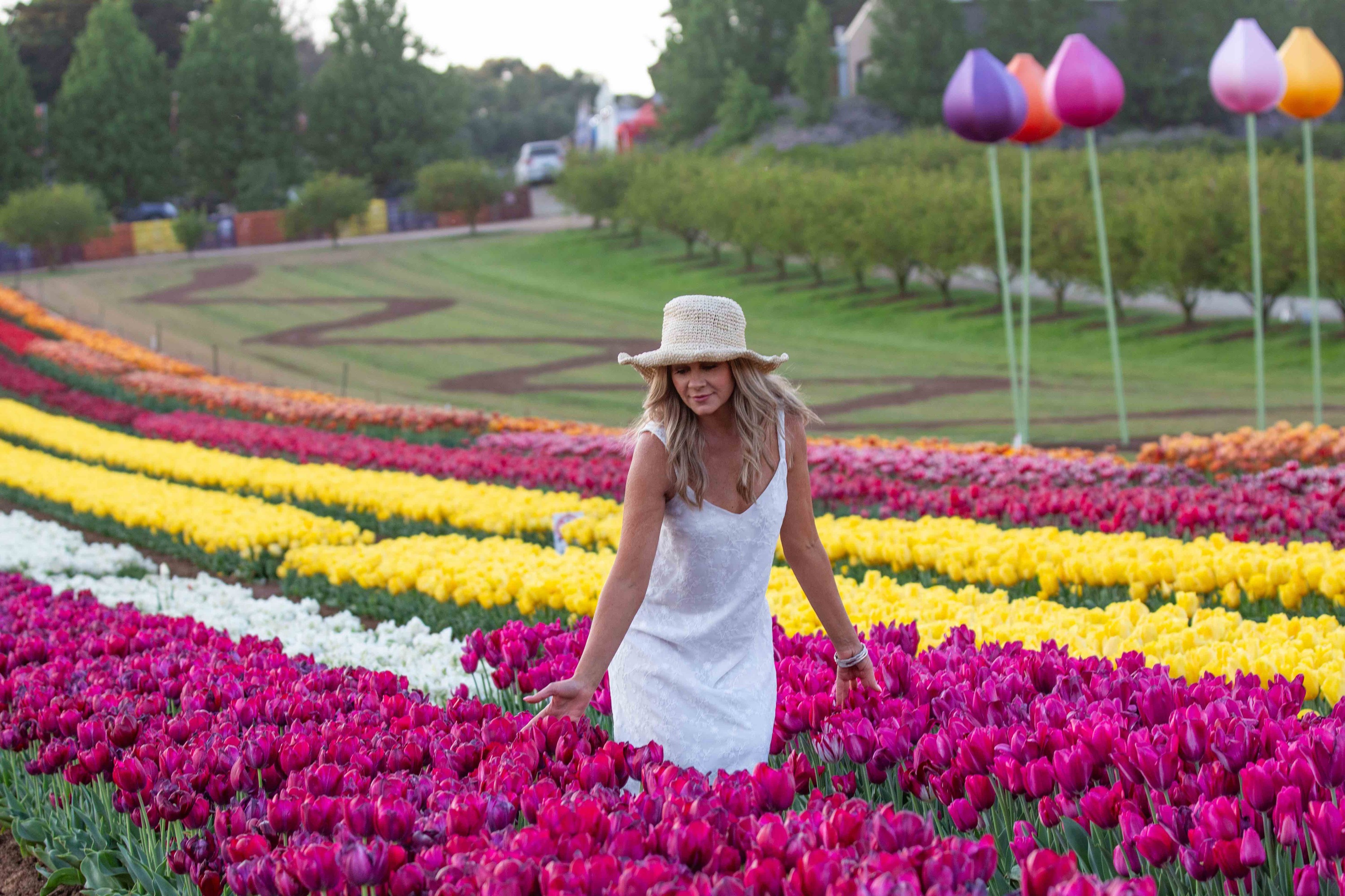 The famous Tesselaar Tulip Festival returns this spring 2025