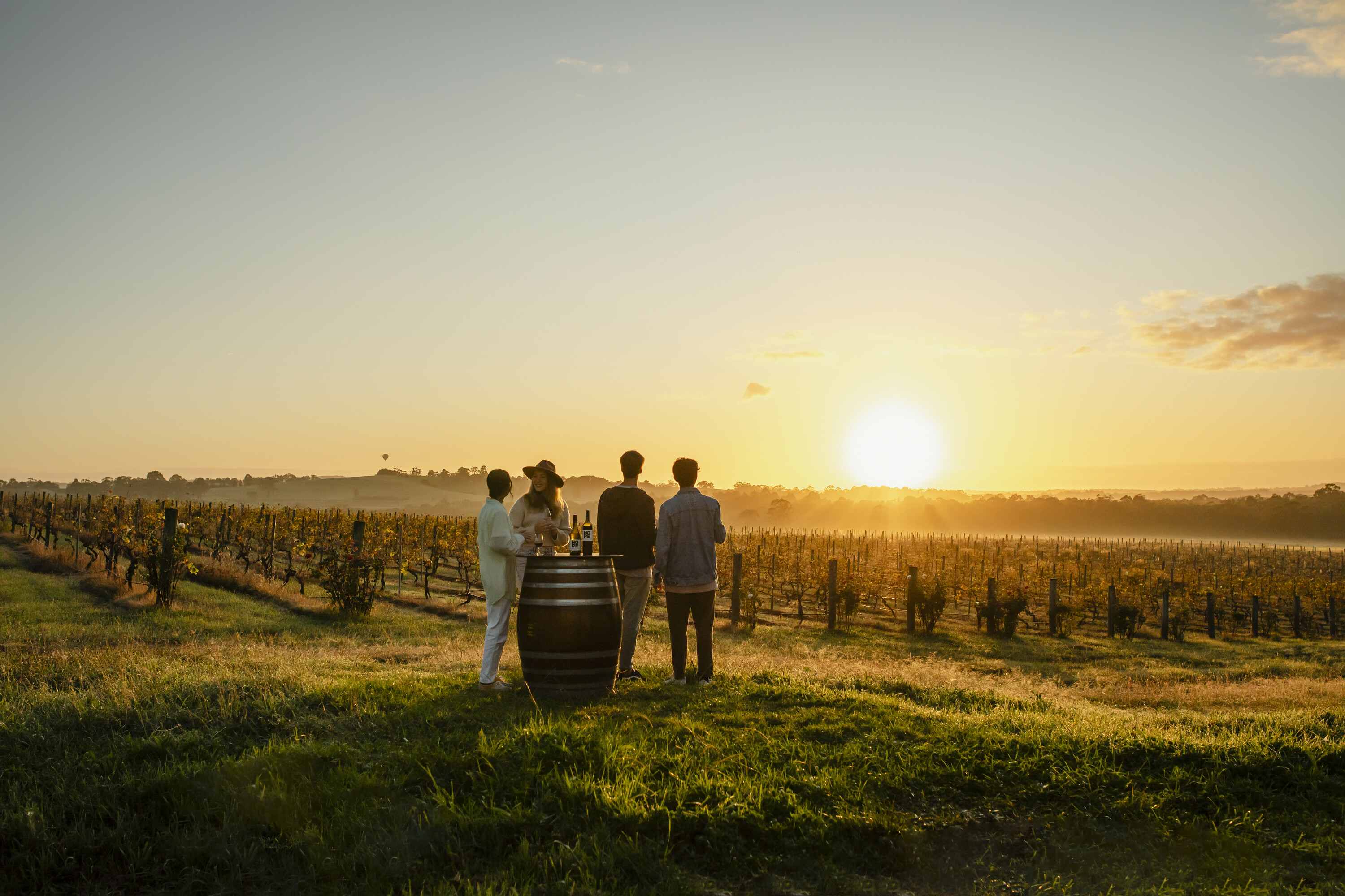 Things to do in the Hunter Valley