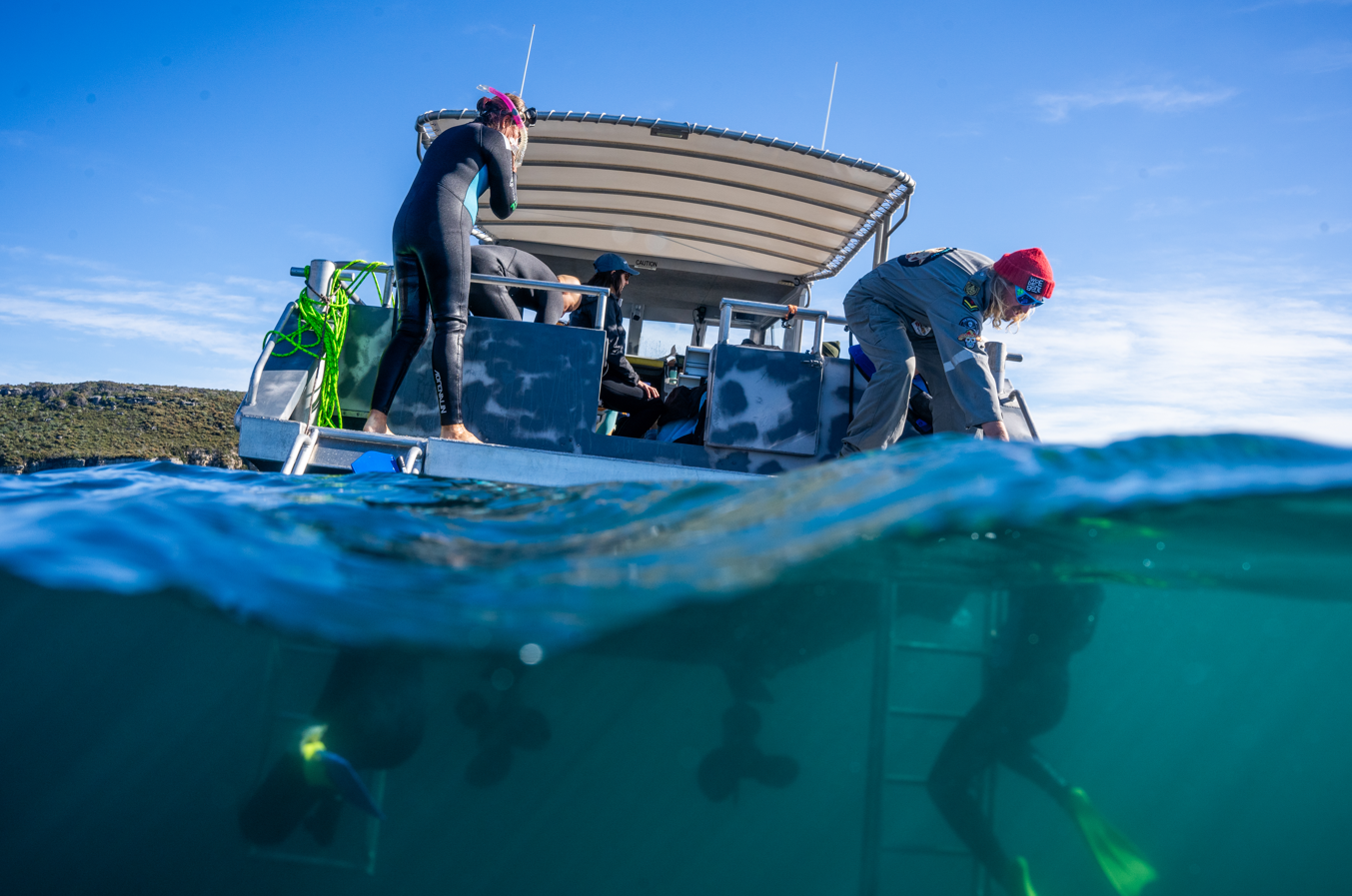 Woebegone Freedive Whale Swim Tour | Jervis Bay