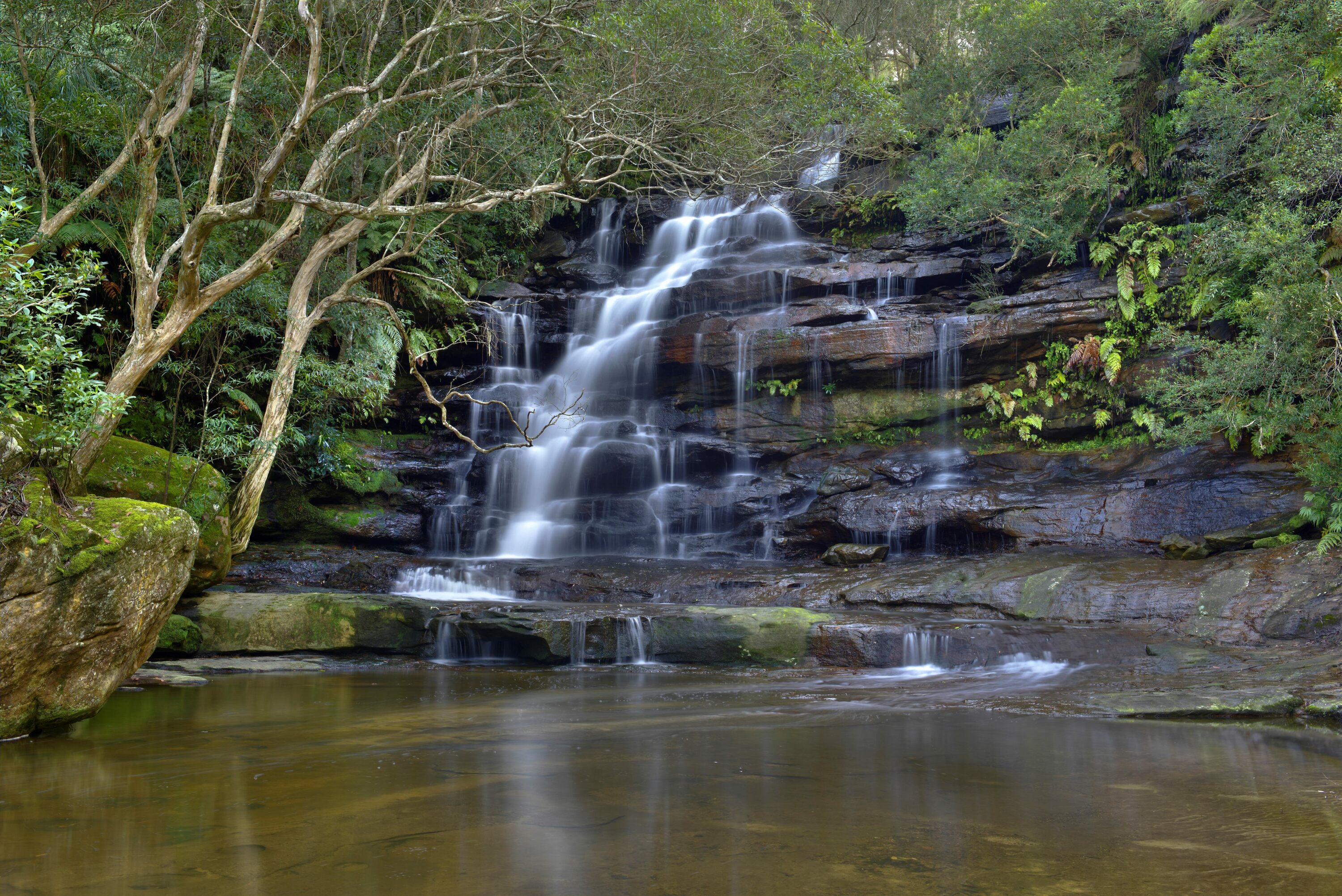 Somersby Falls | Stunning waterfalls re-open just north of Sydney