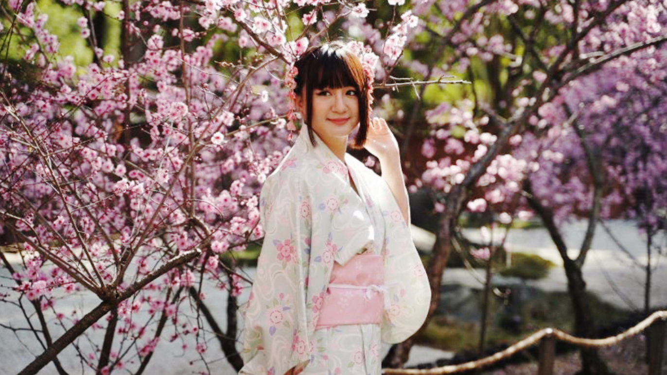 Sydney Cherry Blossom Festival is on in Auburn right now