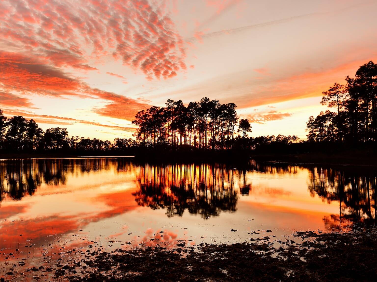 9 Best Trails for Hiking in Miami, from Bayside Paths to Gator-Lined ...