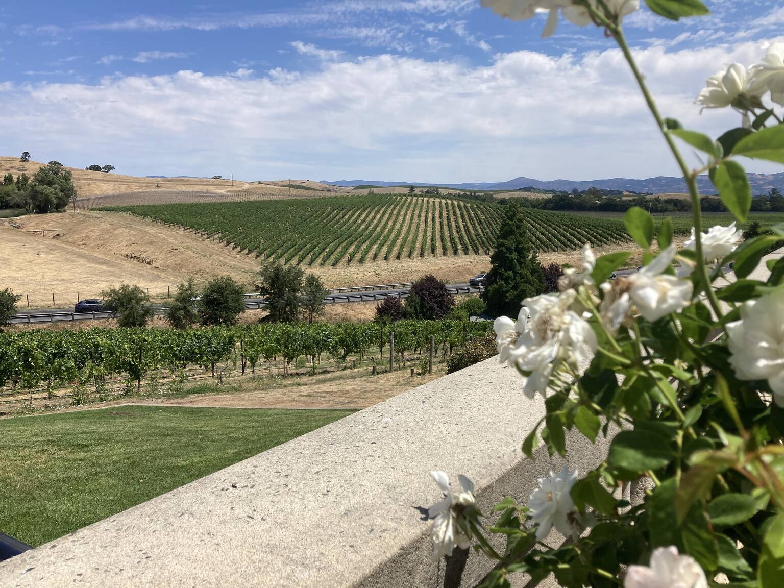 20 Best Things to Do in the Bay Area