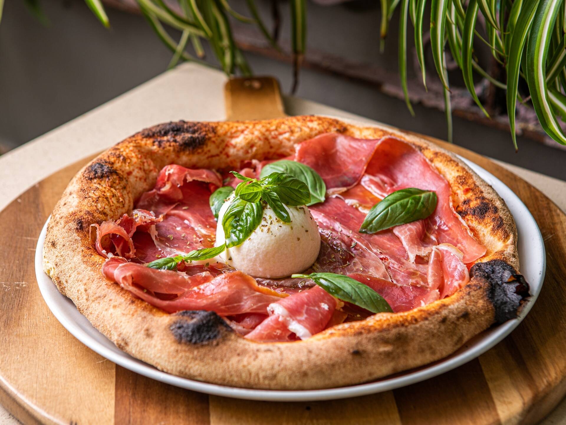 The 15 Best Italian Restaurants in Brisbane
