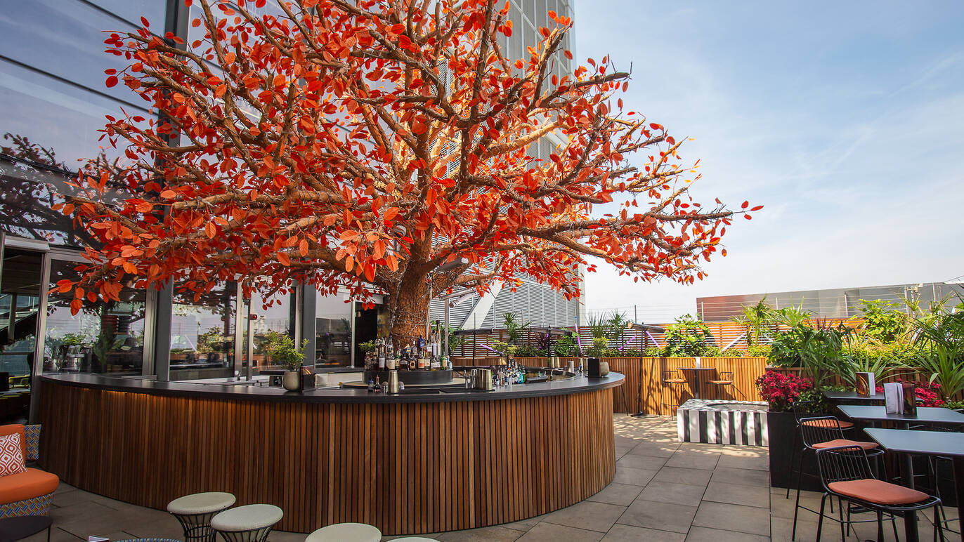 13 Best Bars In The City Of London