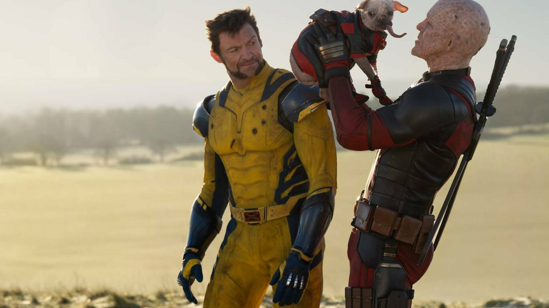 Best Comedy Movies Of 2024