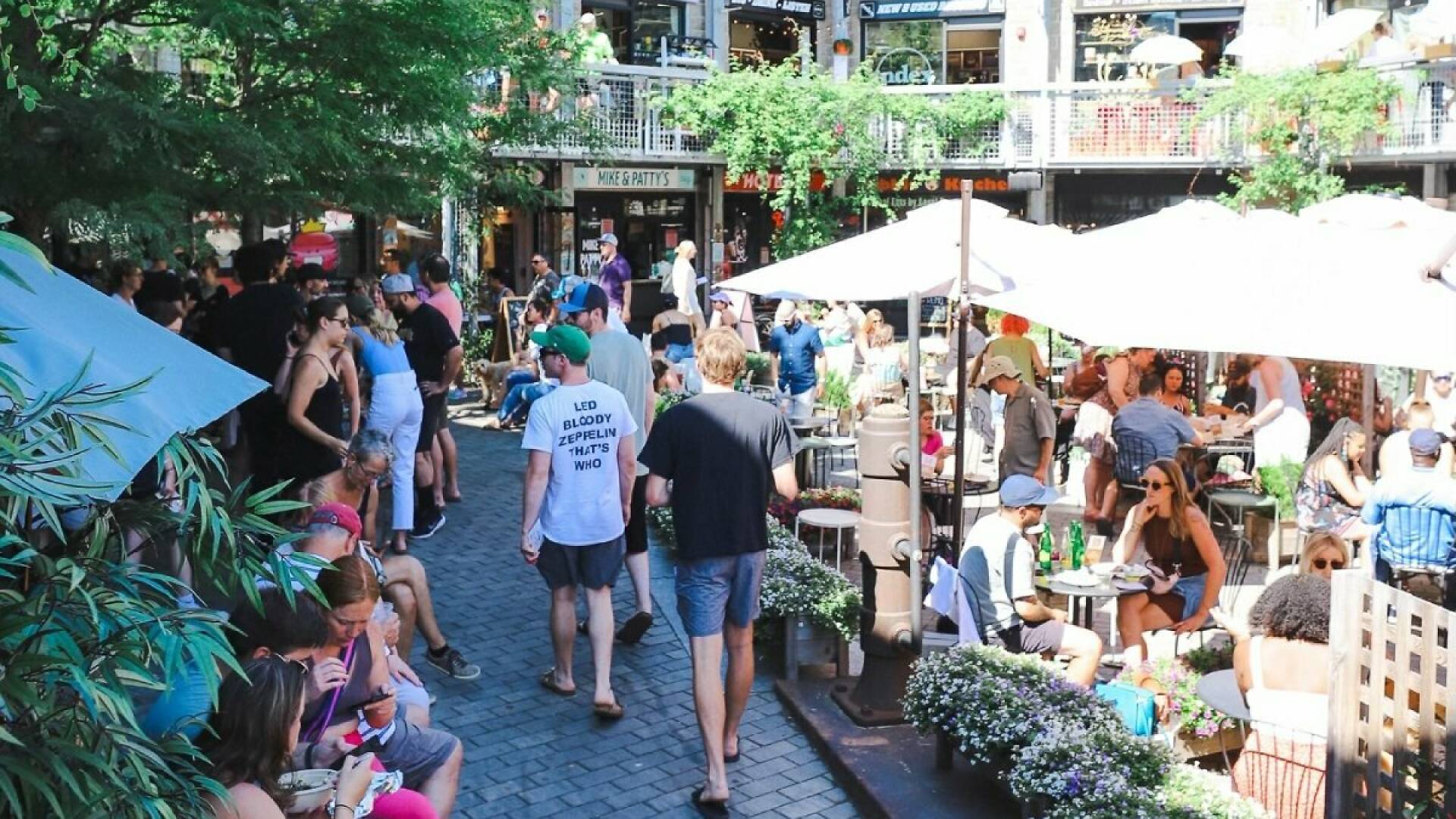 30 Pet and Dog-Friendly Places in Boston to Bring Your Furry Companion