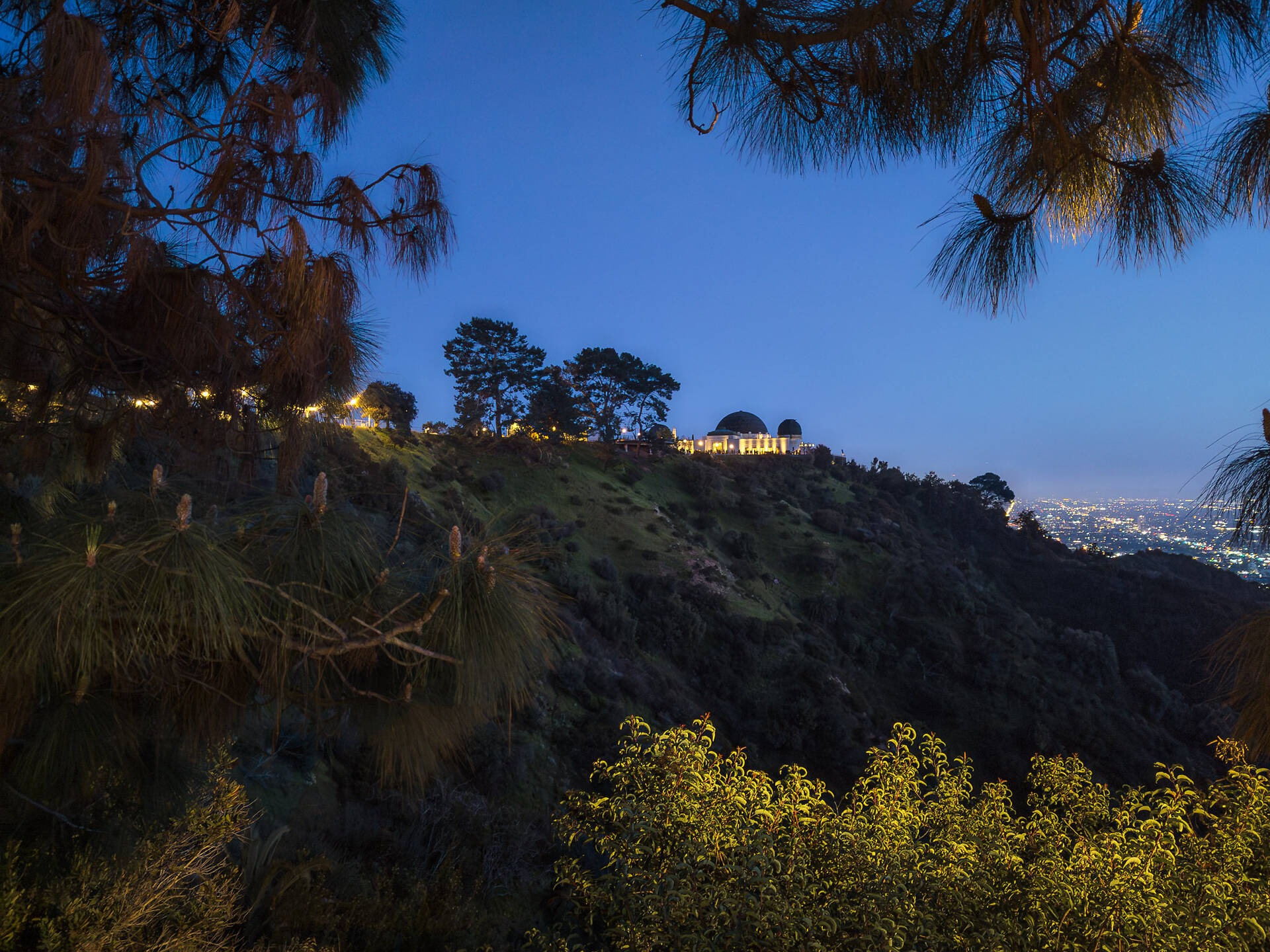 Time Out Los Angeles | L.A. Events, Activities & Things to Do