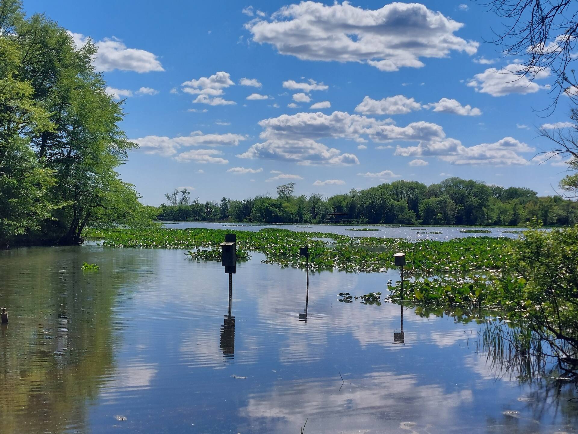 Where to go Hiking Near Philadelphia: 12 Best Local Spots