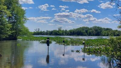 Where to go Hiking Near Philadelphia: 12 Best Local Spots